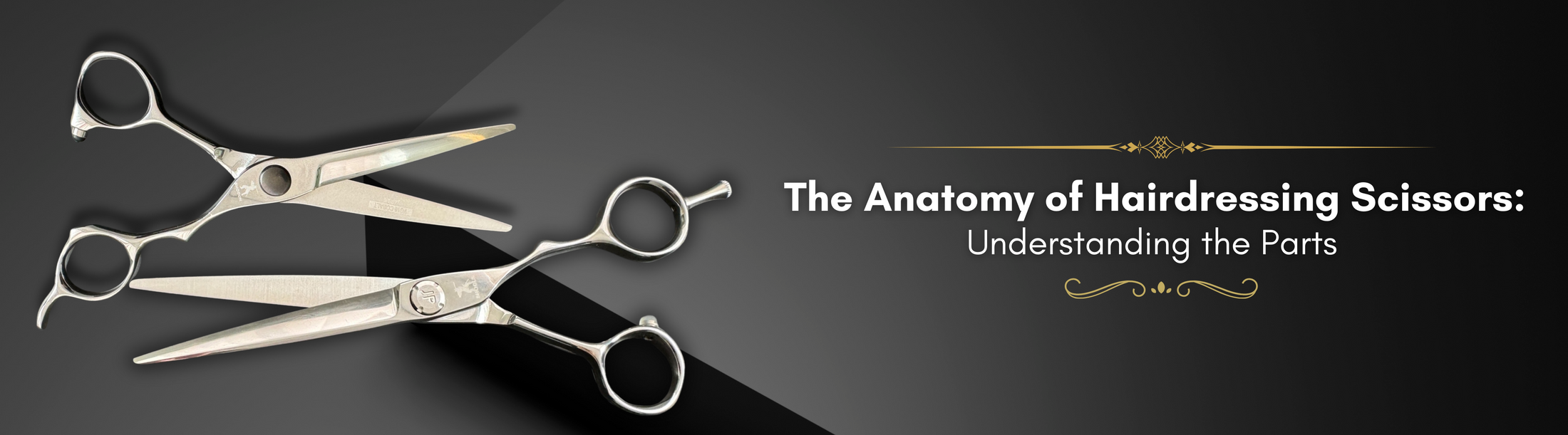 The Anatomy of Hairdressing Scissors: Understanding the Part – Shogun ...